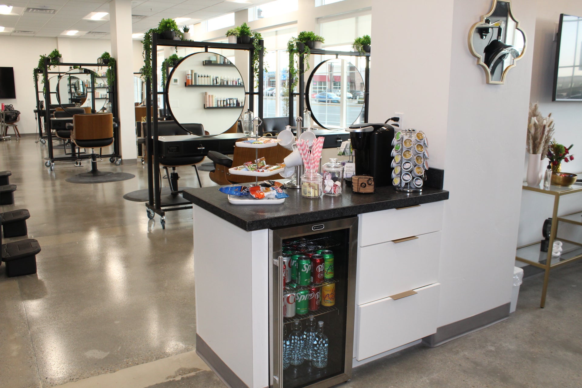 Home | Someday Society Salon