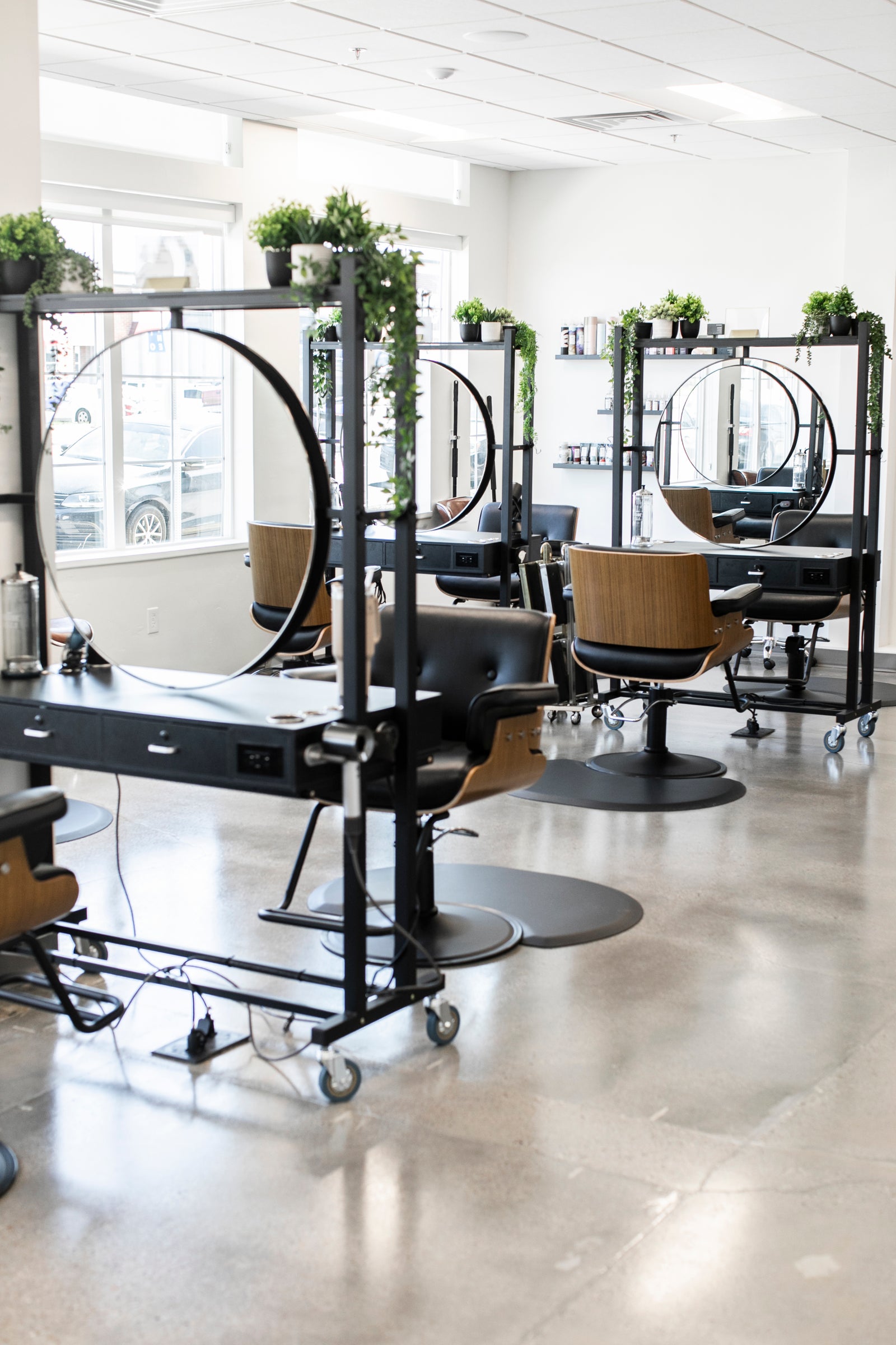 Home | Someday Society Salon